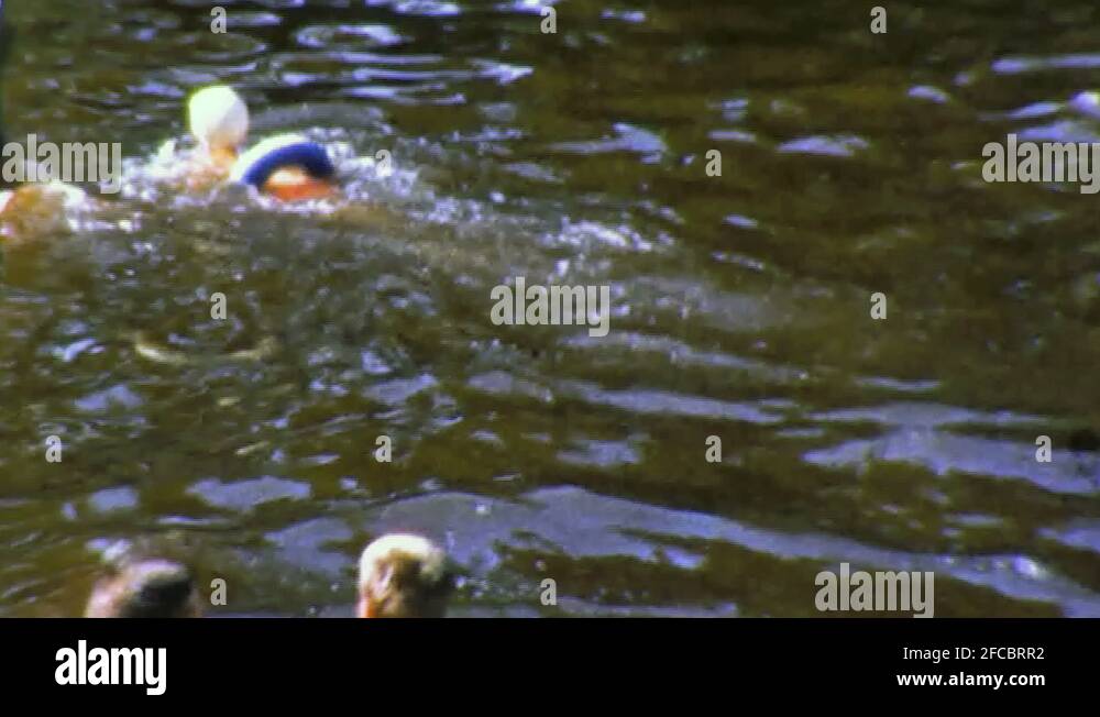 1950s Children Kids Learning to SWIM Lessons Pool Vintage Film Retro ...