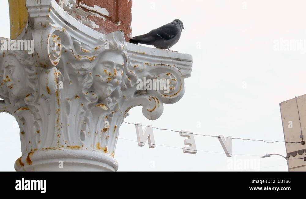 Column molding Stock Videos & Footage - HD and 4K Video Clips - Alamy