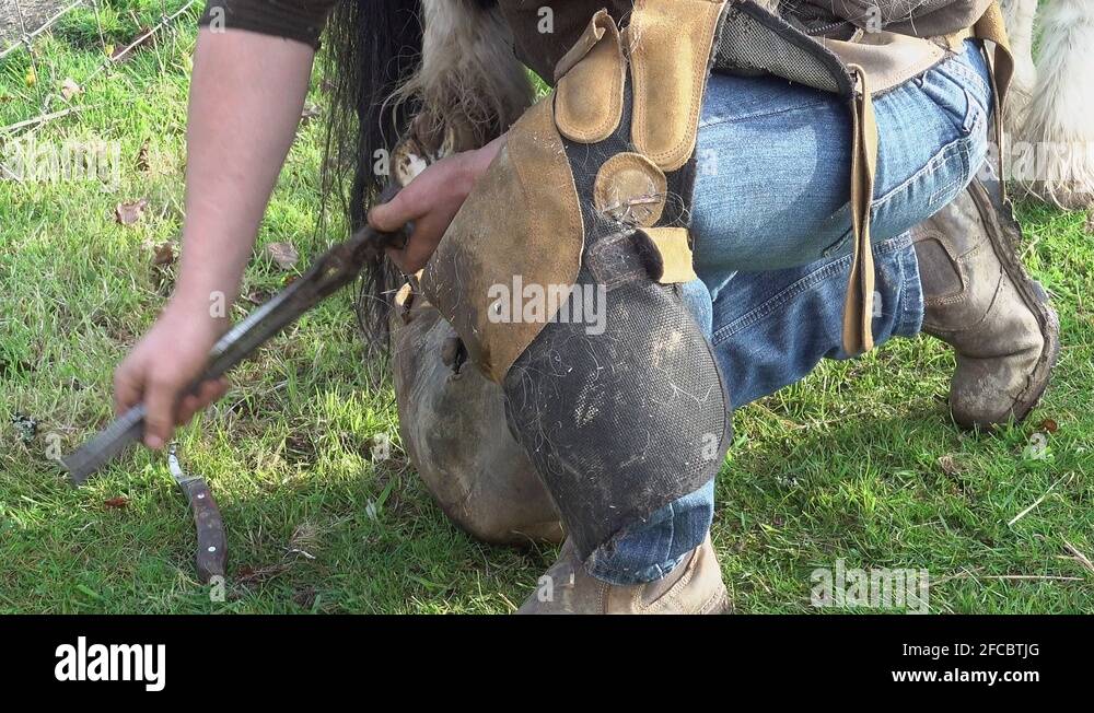 Uk farrier Stock Videos & Footage - HD and 4K Video Clips - Alamy