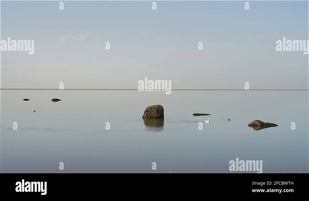 Icelandic water rocks Stock Videos & Footage - HD and 4K Video Clips ...