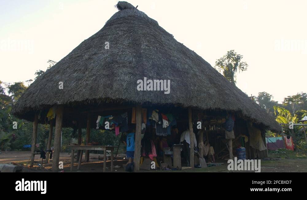 Farm house of indigenous Indian people in a village in the green jungle ...