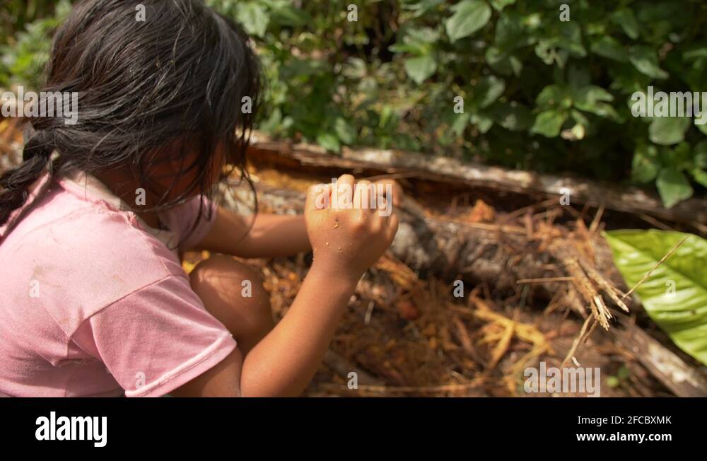 Rainforest indian hunting Stock Videos & Footage - HD and 4K Video ...