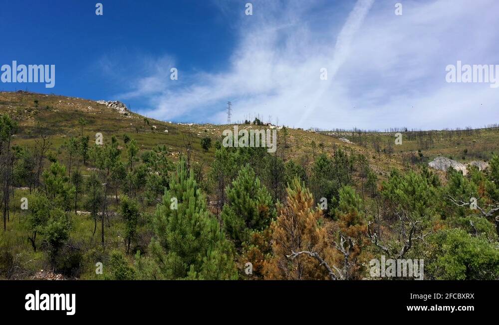 Powerline tower Stock Videos & Footage - HD and 4K Video Clips - Alamy