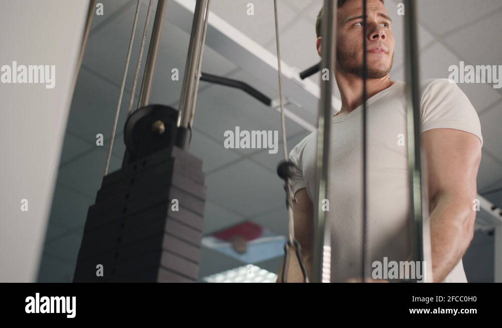 Male training arms triceps muscles using cable machine for body mass ...