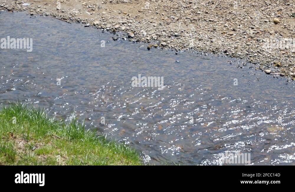 Canal bank Stock Videos & Footage - HD and 4K Video Clips - Alamy