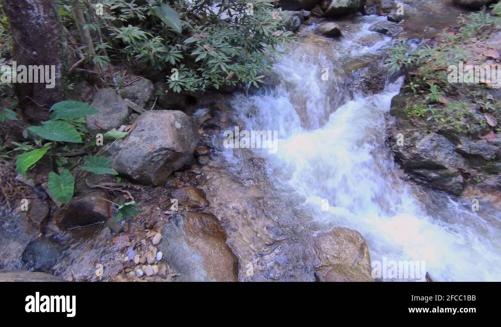 Chae son national park Stock Videos & Footage - HD and 4K Video Clips ...