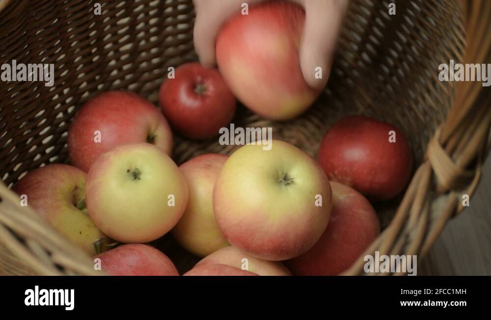 Hand picking fruit Stock Videos & Footage - HD and 4K Video Clips - Alamy