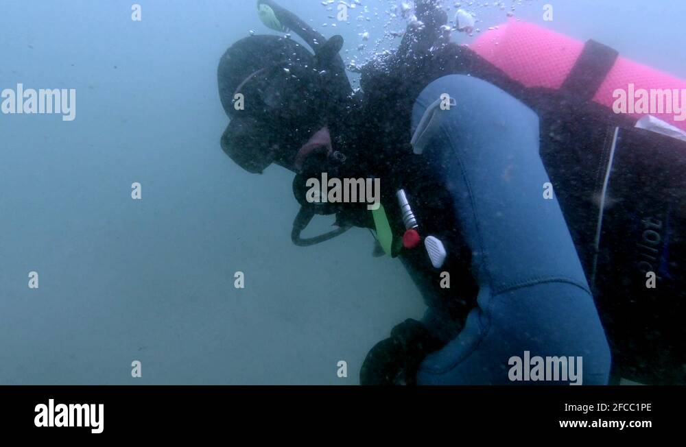 Recreational diving Stock Videos & Footage - HD and 4K Video Clips - Alamy