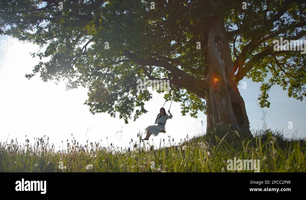 Old swing from rope Stock Videos & Footage - HD and 4K Video Clips - Alamy