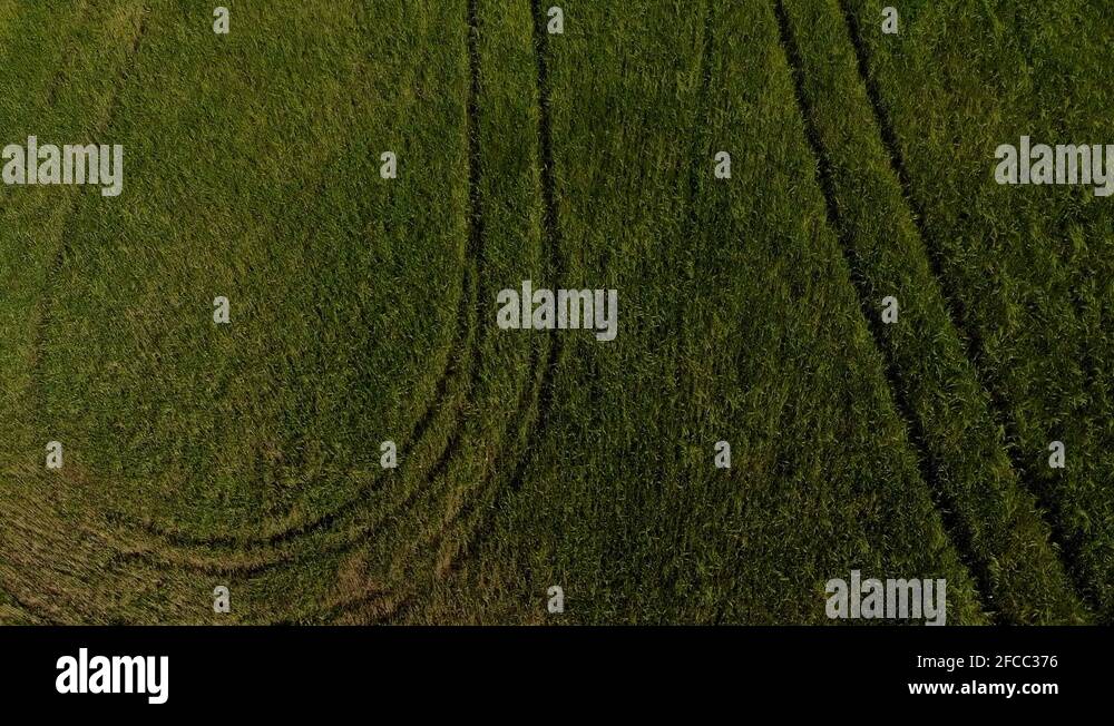 Field markings Stock Videos & Footage - HD and 4K Video Clips - Alamy