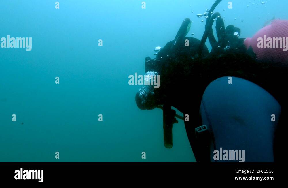 Scuba diver underwater profile Stock Videos & Footage - HD and 4K Video ...