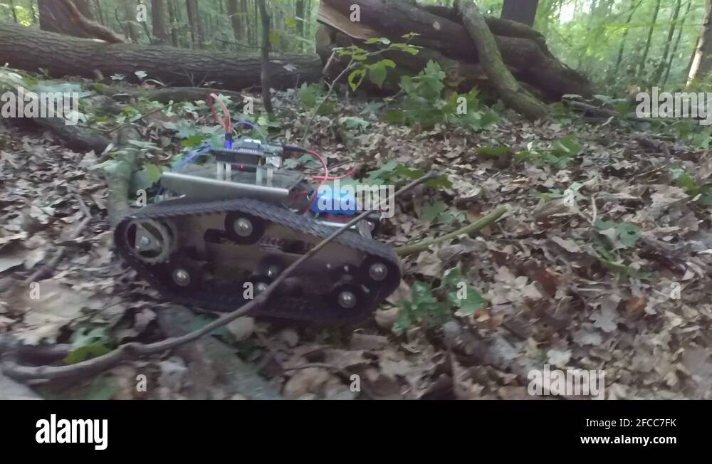 Forest robot Stock Videos & Footage - HD and 4K Video Clips - Alamy