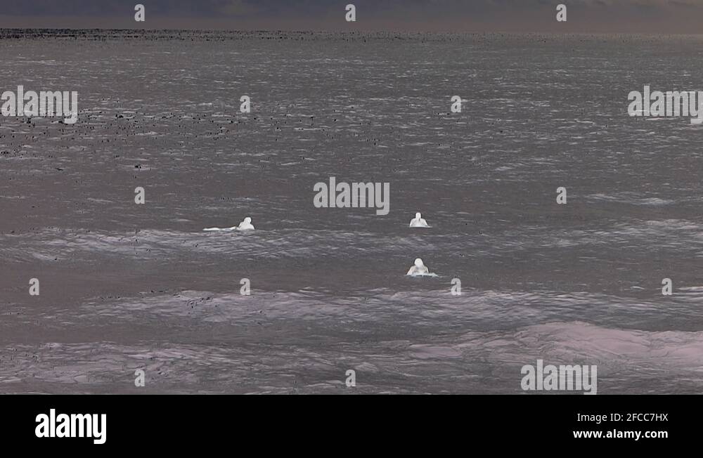 Inverted landscape Stock Videos & Footage - HD and 4K Video Clips - Alamy