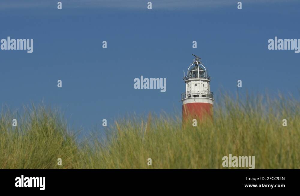 Dune marram grass Stock Videos & Footage - HD and 4K Video Clips - Alamy