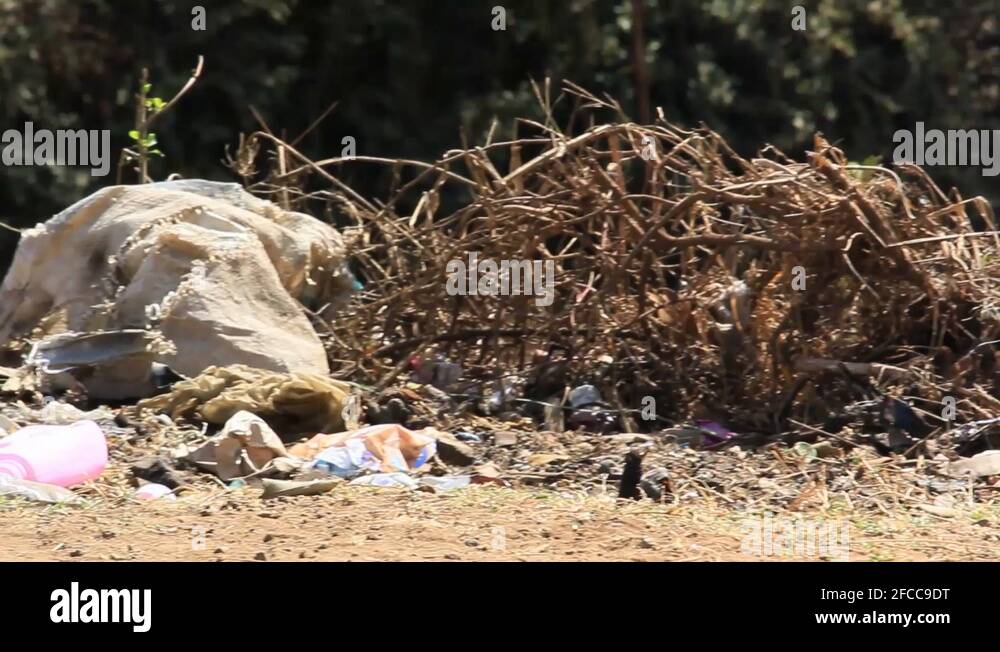 Papers litter Stock Videos & Footage - HD and 4K Video Clips - Alamy