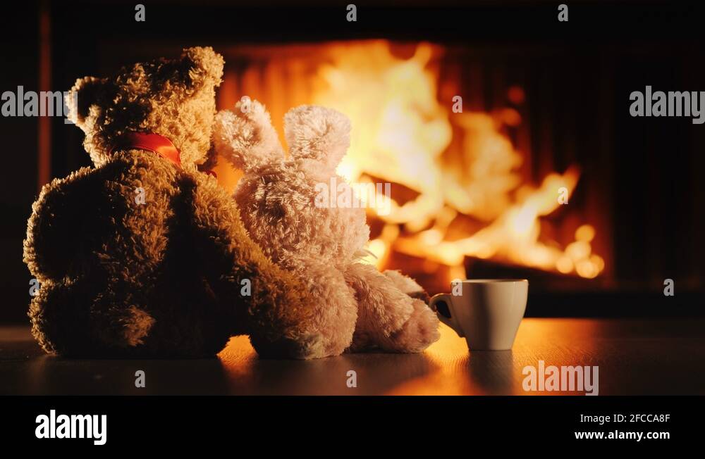 Bear hare Stock Videos & Footage - HD and 4K Video Clips - Alamy