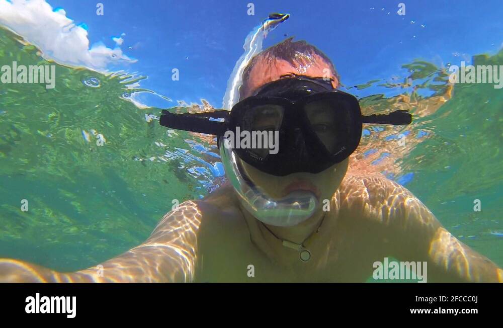 Caribbean fish species Stock Videos & Footage - HD and 4K Video Clips ...