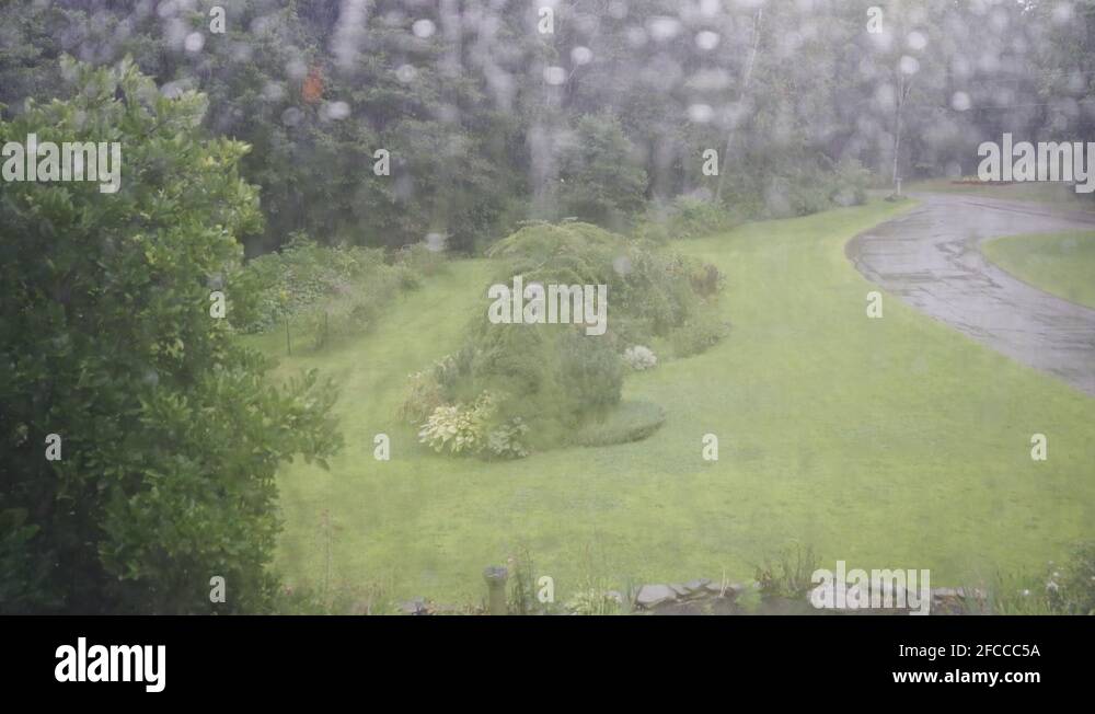 In the front of Stock Videos & Footage - HD and 4K Video Clips - Alamy