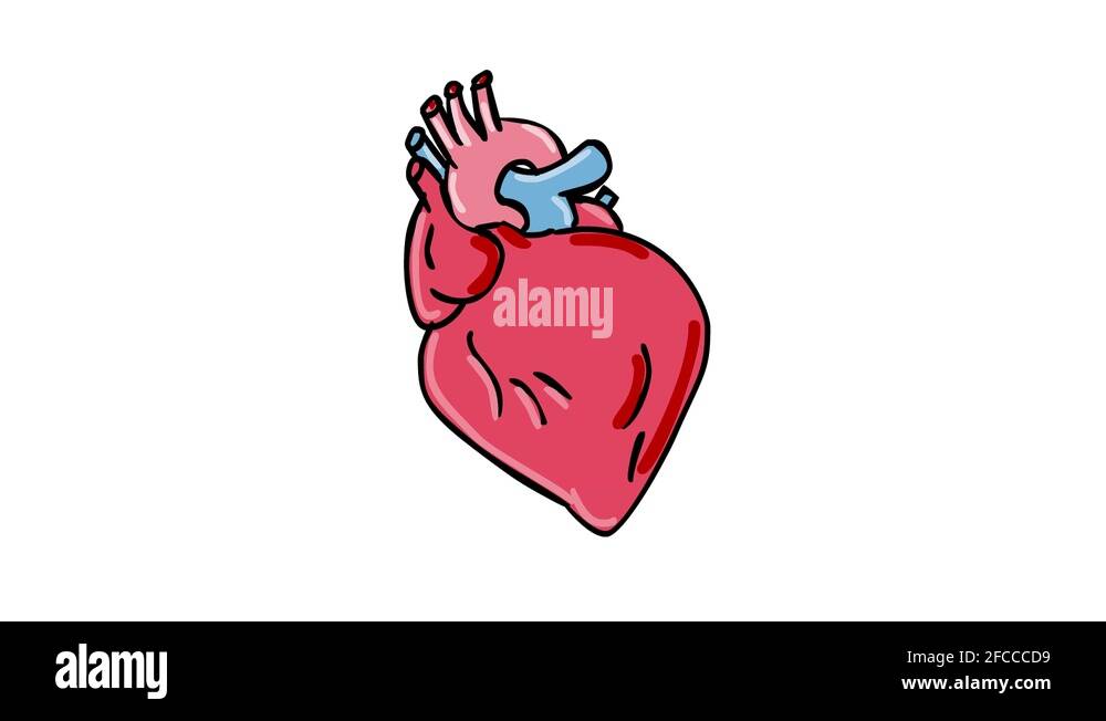 Cartoon character heart heart anatomy Stock Videos & Footage - HD and ...