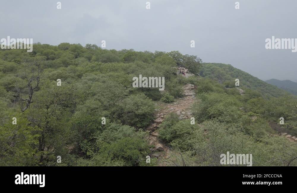Jungleview Stock Videos & Footage - HD and 4K Video Clips - Alamy