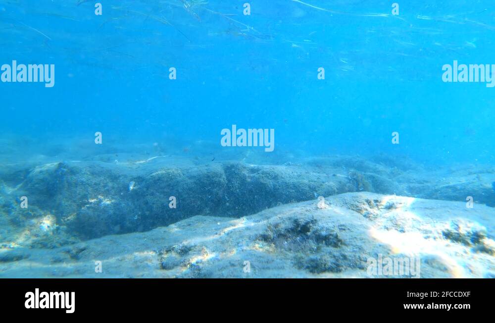 Sea ground Stock Videos & Footage - HD and 4K Video Clips - Alamy