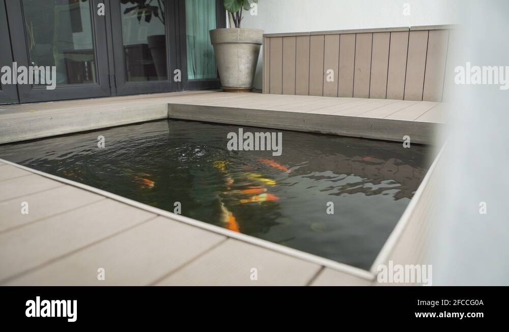 camera slide revealing a small wooden fish pond as part of a modern ...