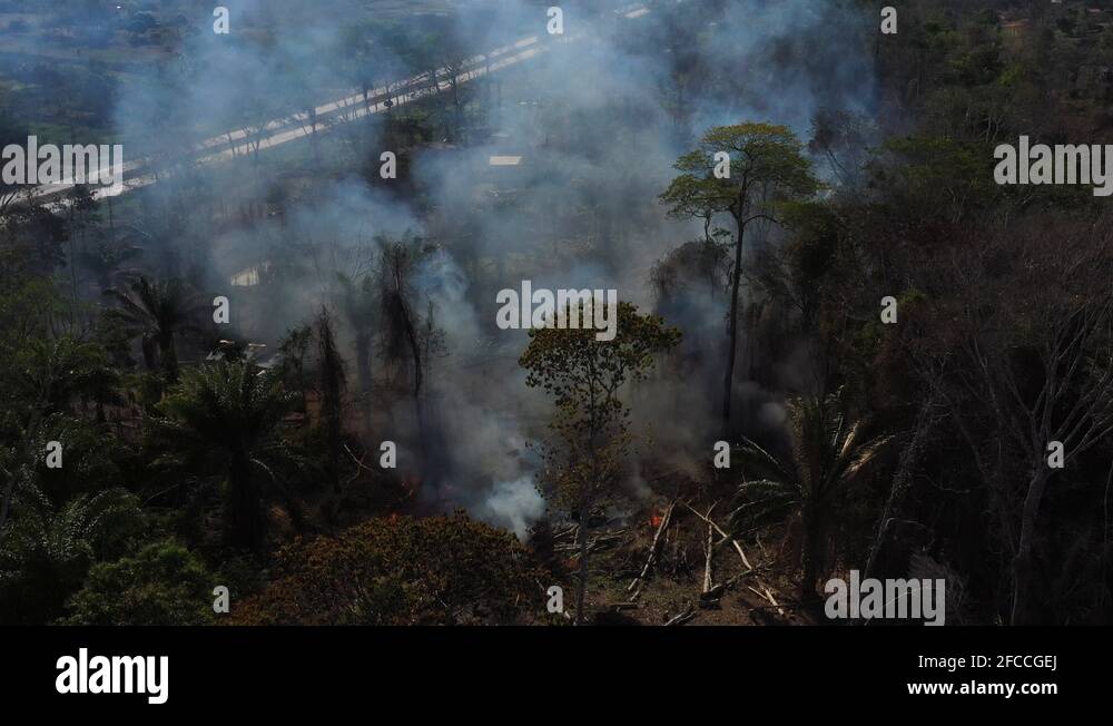 Amazon rainforest burning village Stock Videos & Footage - HD and 4K ...