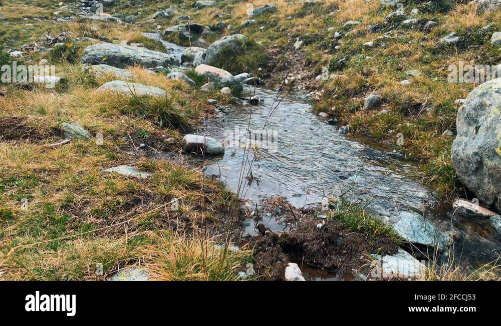 quiet little stream in the middle of mountains and nature Stock Video ...