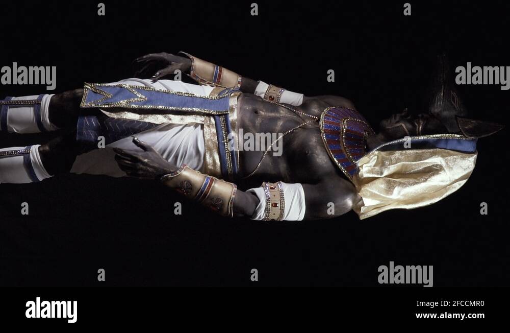 Ancient egyptian jackal mummy Stock Videos & Footage - HD and 4K Video ...