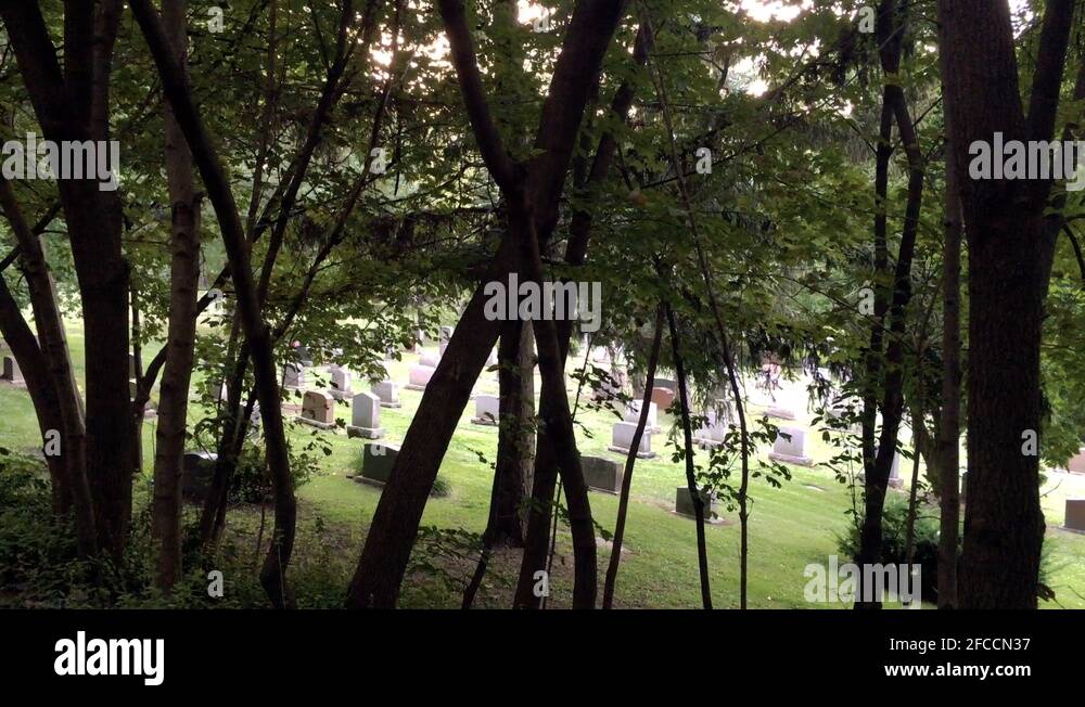 Static x Stock Videos & Footage - HD and 4K Video Clips - Alamy