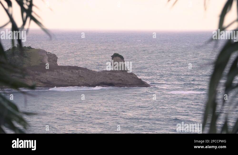 Ocean leaves Stock Videos & Footage - HD and 4K Video Clips - Alamy