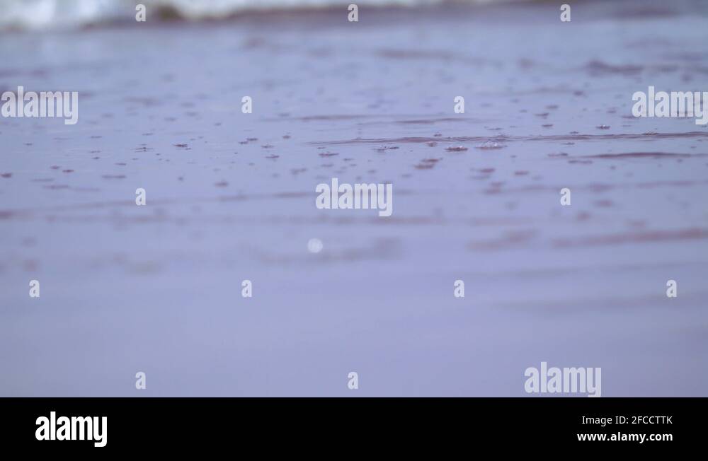 Mud wave Stock Videos & Footage - HD and 4K Video Clips - Alamy