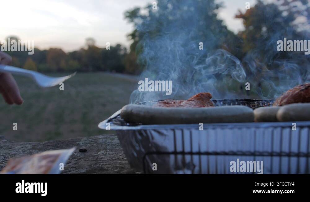 Park in mainz Stock Videos & Footage - HD and 4K Video Clips - Alamy