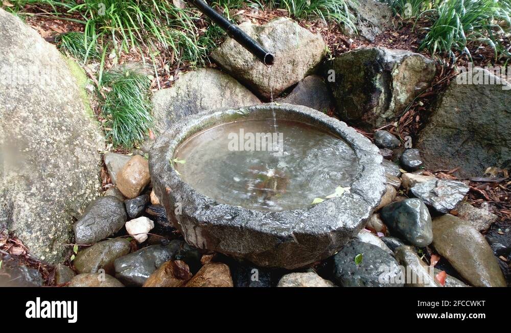 Japanese Water Feature, Brisbane Gardens Stock Video Footage - Alamy
