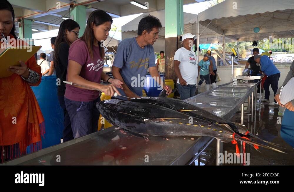Yellowfin tuna fish market general santos city Stock Videos & Footage ...