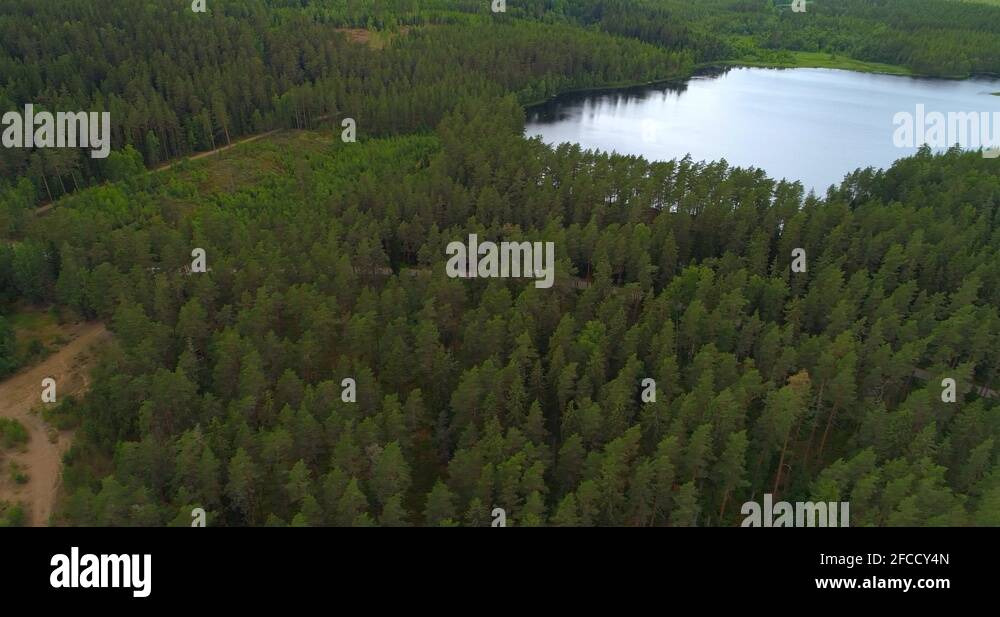 Forest smaland sweden Stock Videos & Footage - HD and 4K Video Clips ...