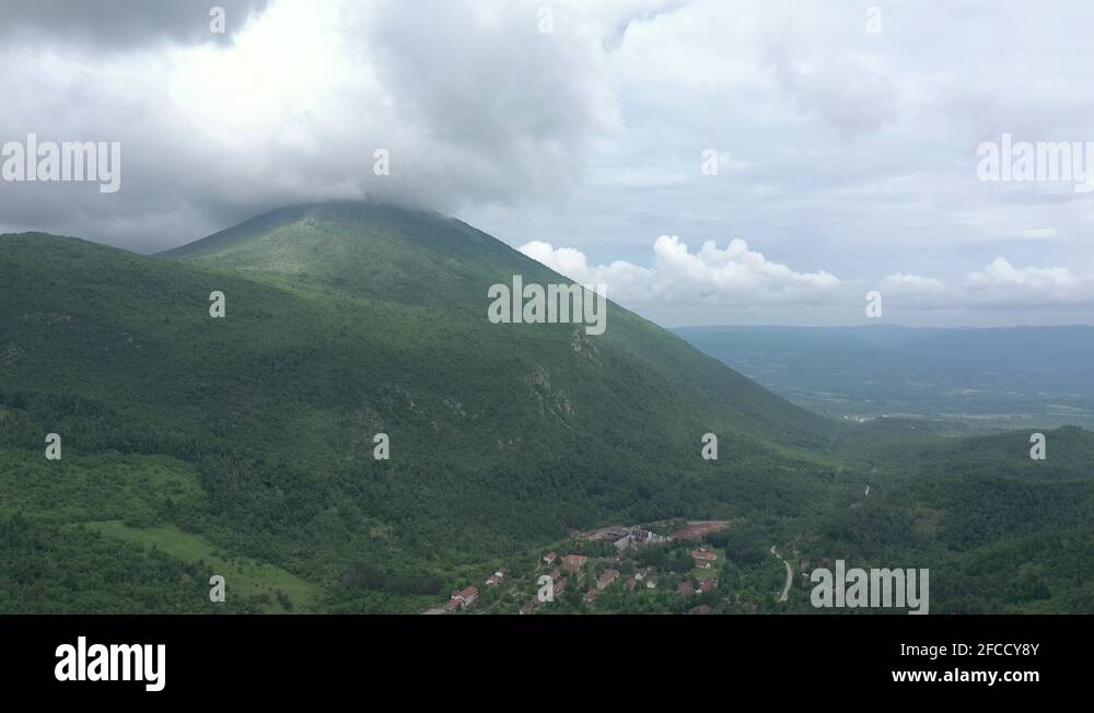 Tree pyramidal shape Stock Videos & Footage - HD and 4K Video Clips - Alamy