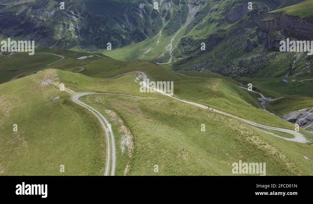 An eye for a bird Stock Videos & Footage - HD and 4K Video Clips - Alamy