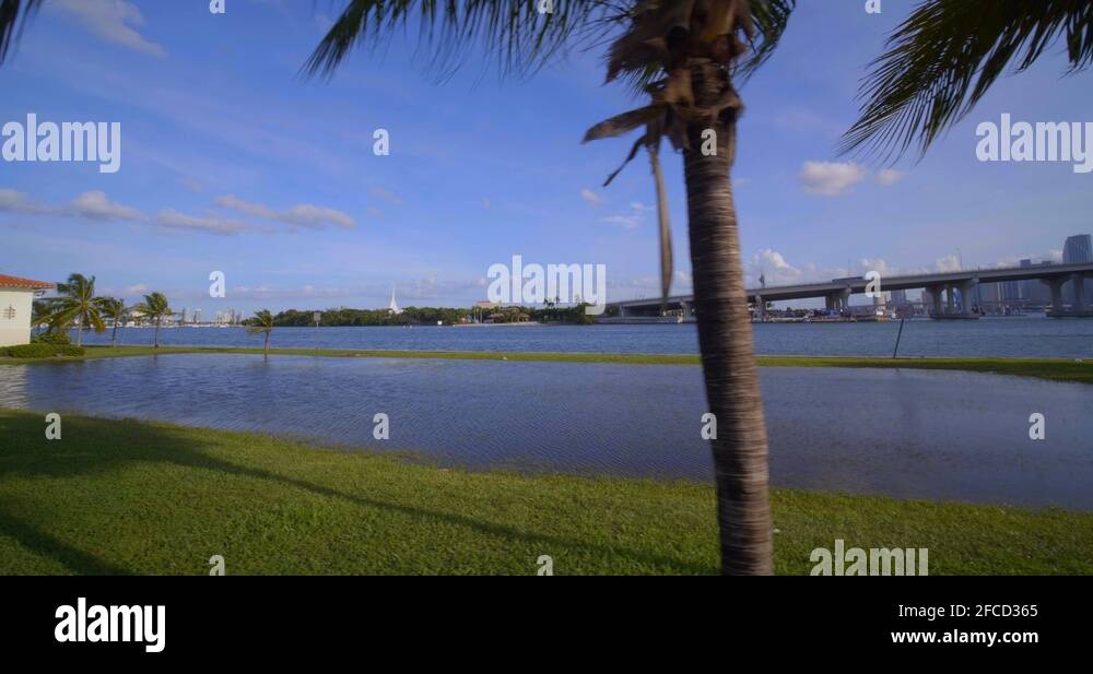 Dorian bay Stock Videos & Footage - HD and 4K Video Clips - Alamy