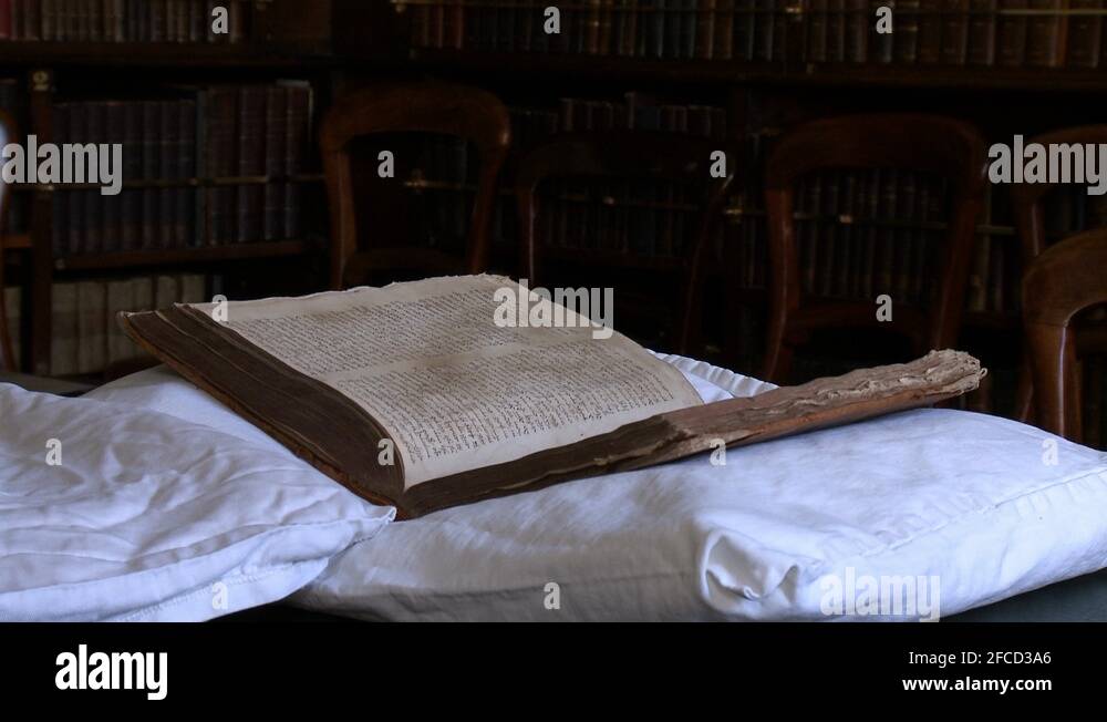 Historian writing Stock Videos & Footage - HD and 4K Video Clips - Alamy