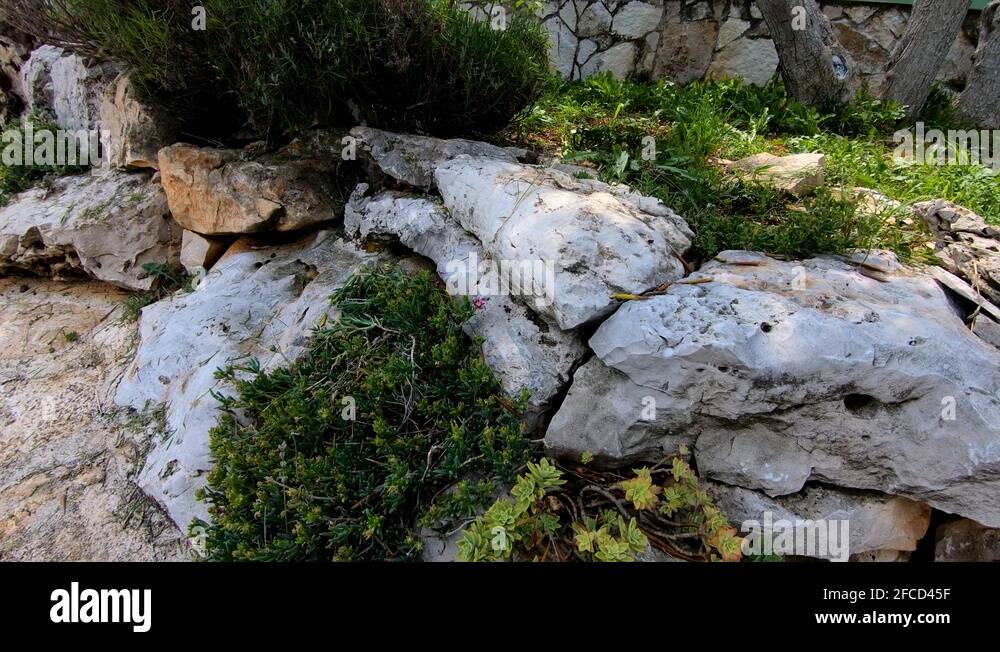 4k ascending down pan view of karst rock garden wall Stock Video ...