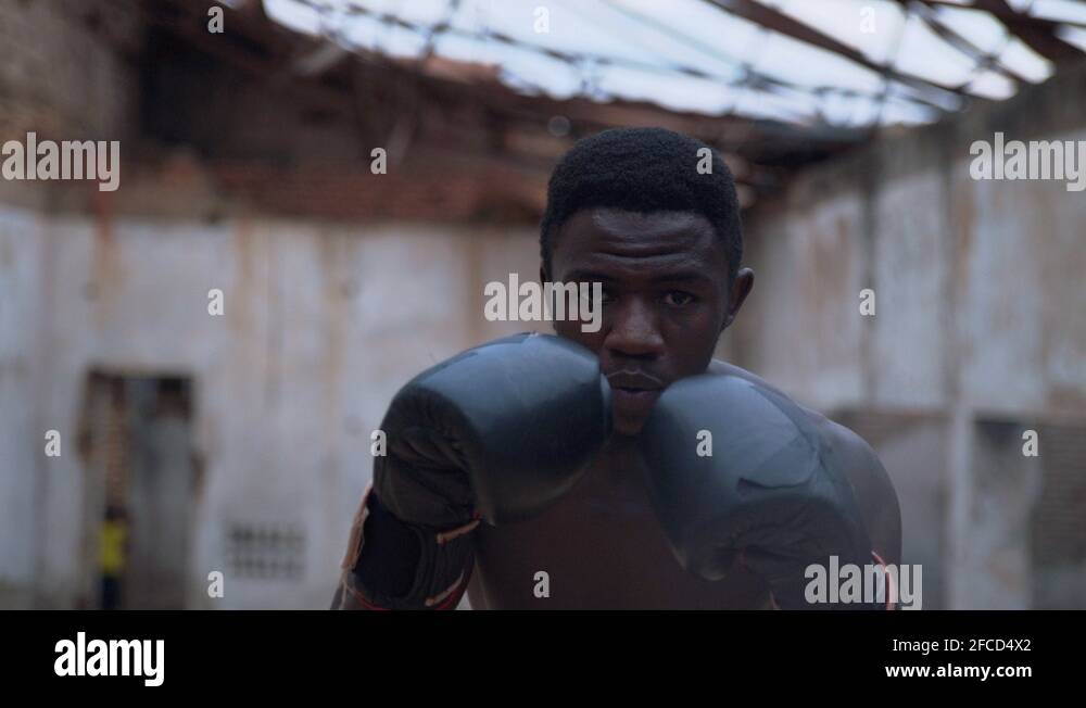 African boxing Stock Videos & Footage - HD and 4K Video Clips - Alamy