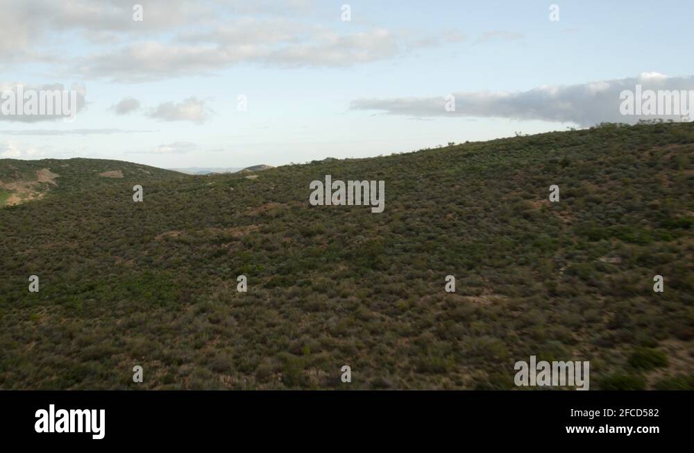 Cape landscape Stock Videos & Footage - HD and 4K Video Clips - Alamy