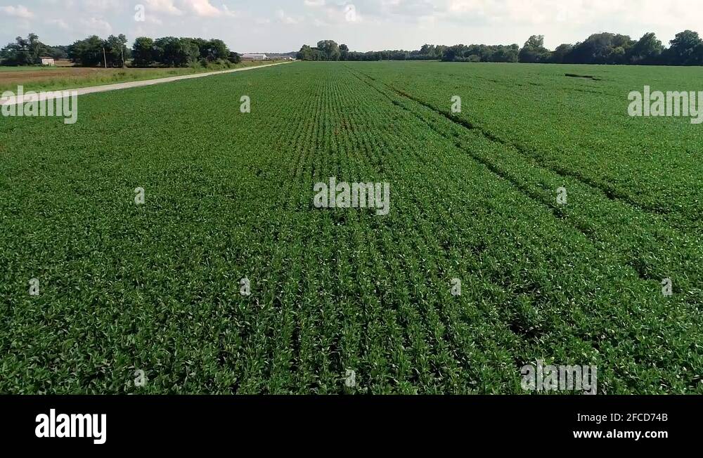 Farmers crop Stock Videos & Footage - HD and 4K Video Clips - Alamy