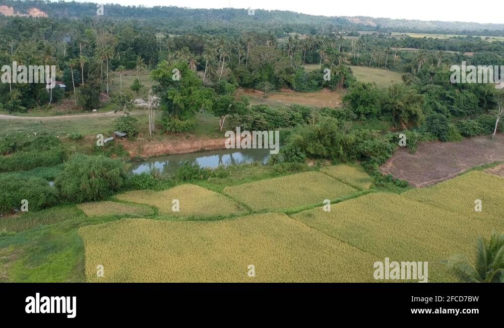 Philippines cagayan river Stock Videos & Footage - HD and 4K Video ...