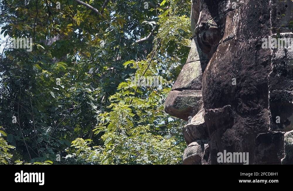 Zoom Out From Large Stone Face In The Jungles Surrounding Angkor Wat ...