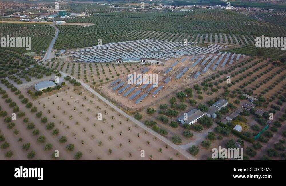 Plant ecosystem environment spain Stock Videos & Footage - HD and 4K ...