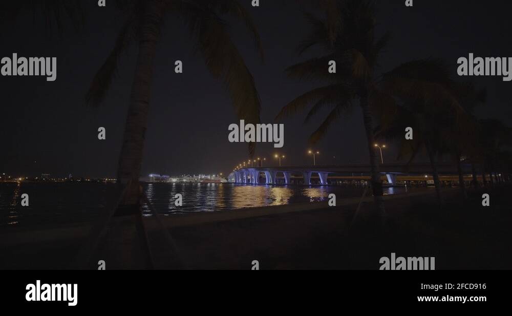 Midnight scene in Miami palm trees and neon bridge 4k Stock Video ...
