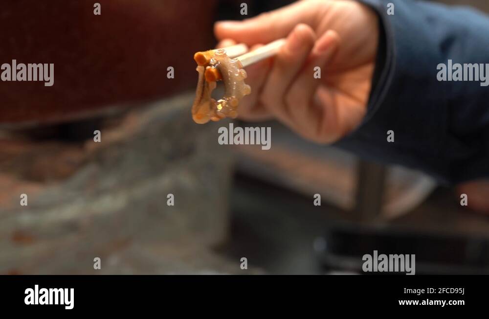 Eating octopus Stock Videos & Footage - HD and 4K Video Clips - Alamy