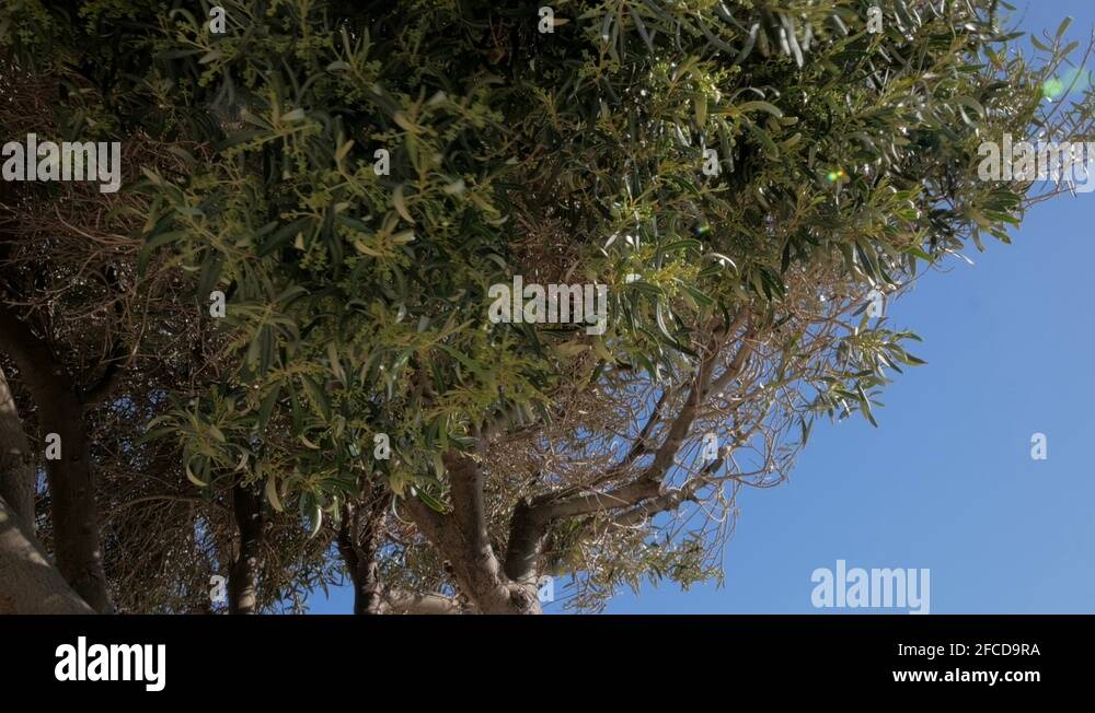 Cyprus landmarks Stock Videos & Footage - HD and 4K Video Clips - Alamy